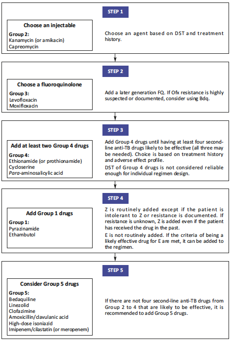 10.3 Building a treatment regimen for MDR-TB | MSF Medical Guidelines